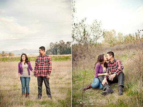 Erin and Joey: a long awaited, yet impromptu Corona engagement session ...