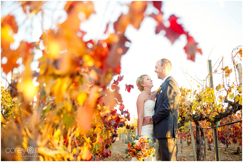 Wiens Family Cellars Weddings. Macie + Brian. Temecula Wedding ...